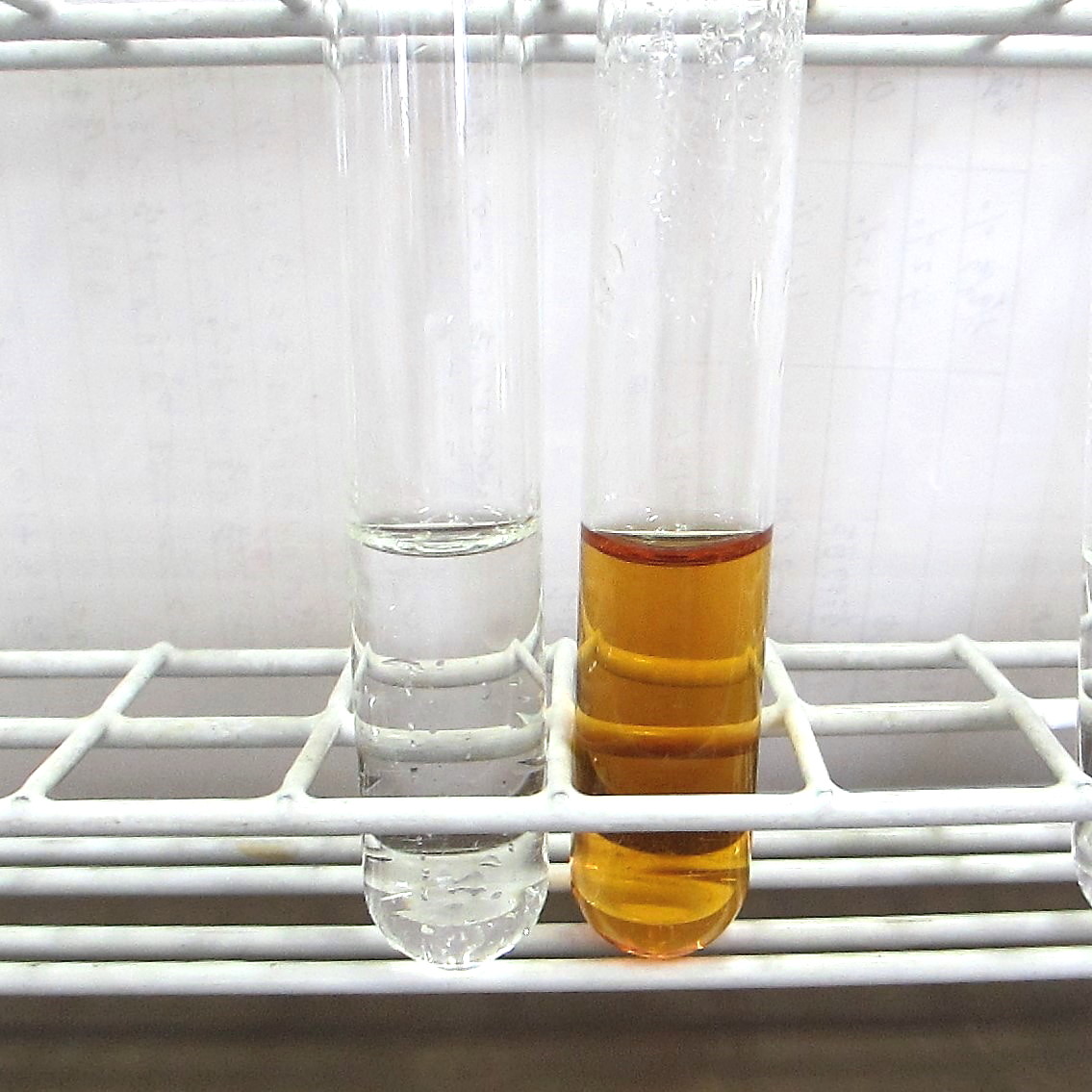 食品学実験 2022 褐変反応 | 山陽女子短期大学